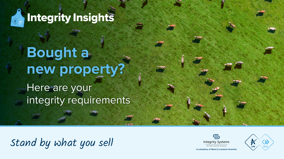 Bought a new property? Here are your integrity requirements | Integrity ...