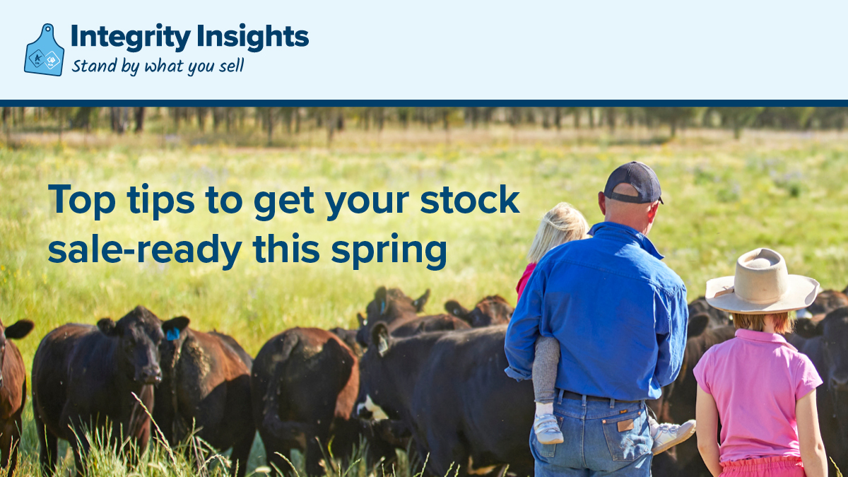 Top tips to get your stock sale-ready this spring | Integrity Systems