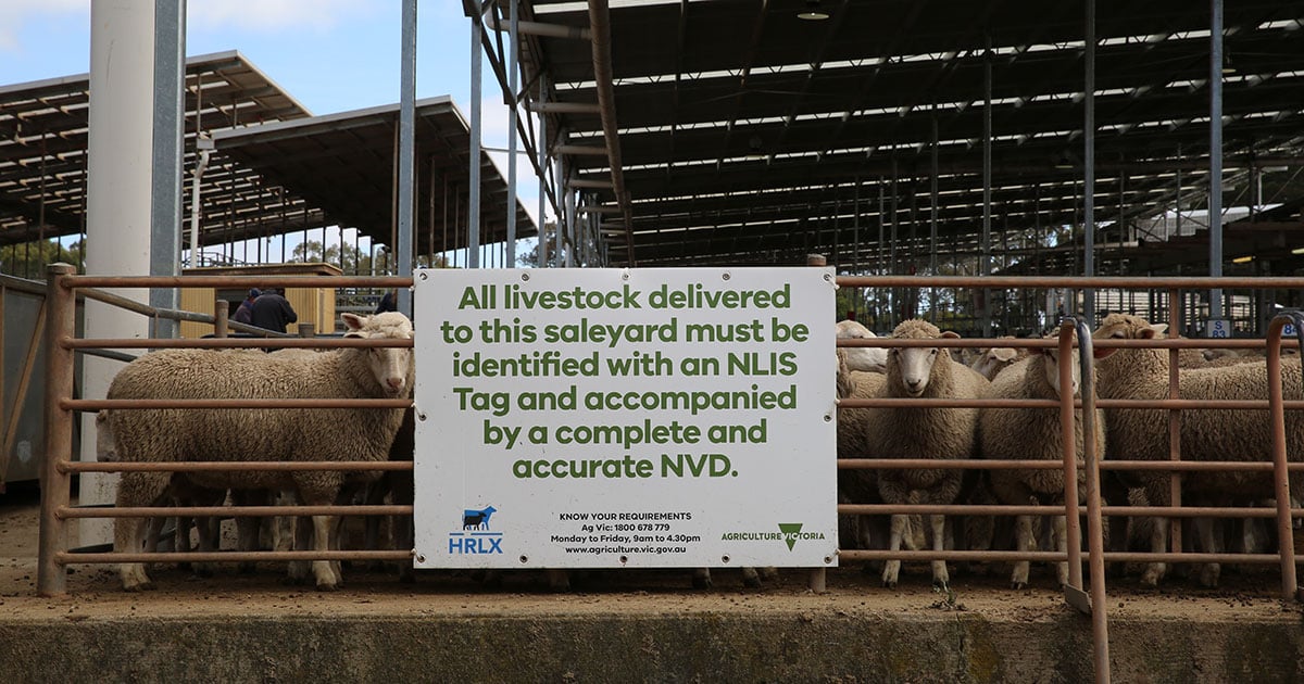 The three pillars of NLIS | Integrity Systems