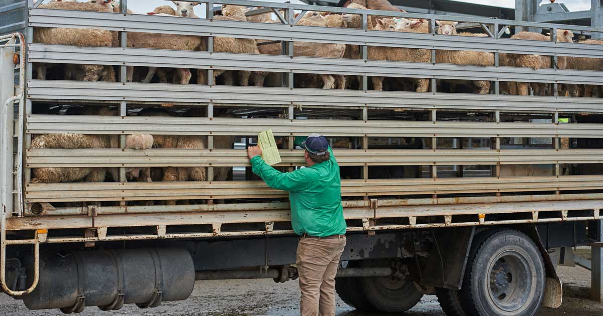 Ramping up best practice loading | Integrity Systems