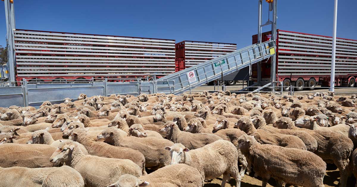 Moving livestock? Be sure to update the NLIS database | Integrity Systems